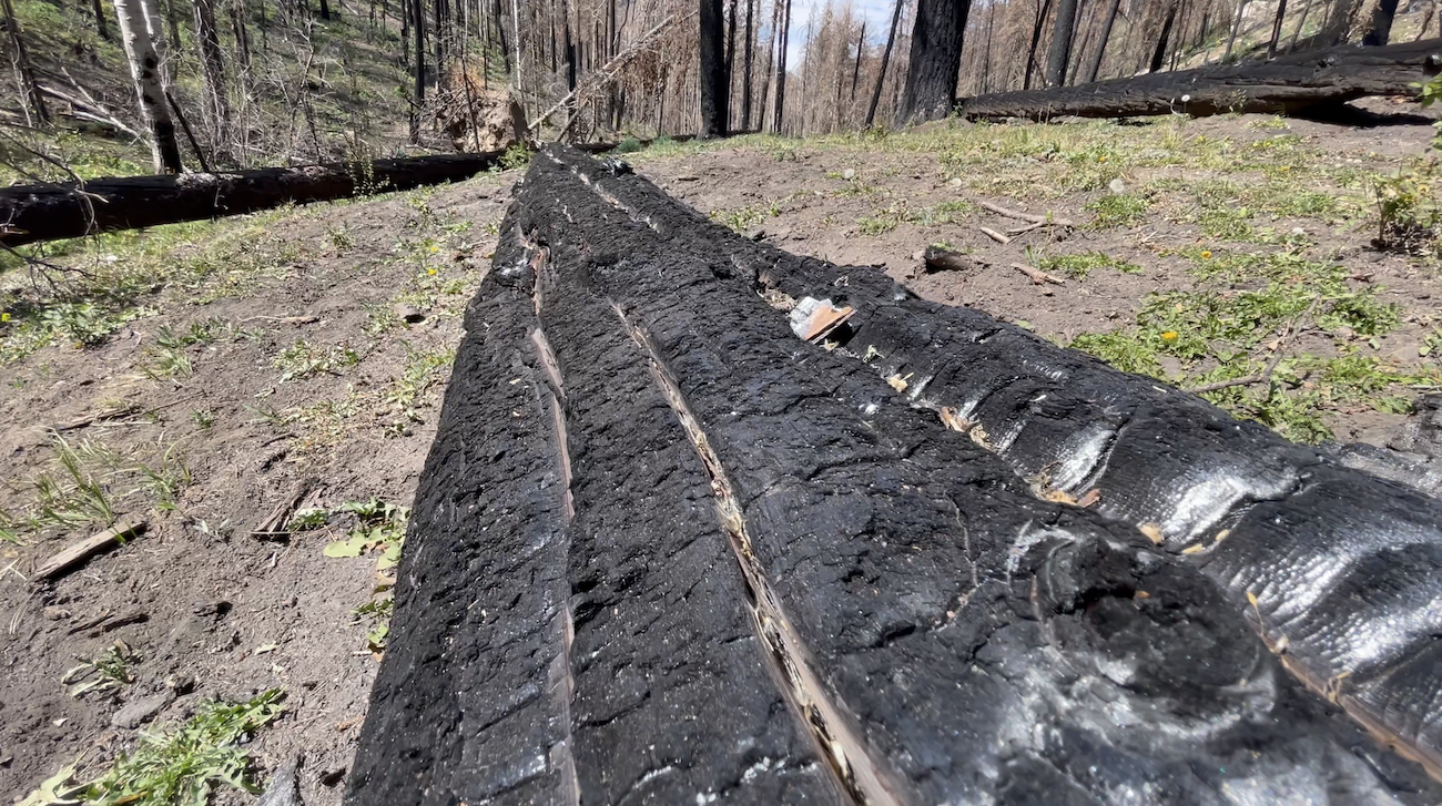 (Post) Fire (treatments) on the Mountain - along the upper Rio en Medio ...